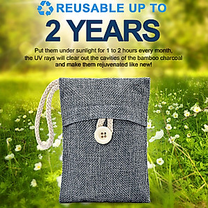 LighSele 15 Pack Charcoal Bags Odor Absorber, Bamboo Charcoal Air Purifying Bag, Nature Fresh Charcoal Air Purifier Bags for Home Shoes Pet Car Closet Fridge, Eco-Friendly & Chemical Free (15x100g)