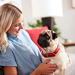 Milk-Bone Chews GnawBones Rawhide Free Dog Treats, Peanut Butter & Chicken, 16 Long Lasting Mini Knotted Bones