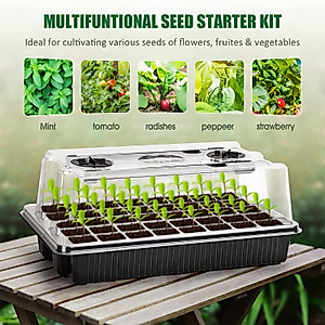 Carzos Seed Starter Tray Kit with Grow Lights, 1 Pack 40 Cells Seed Trays with Humidity Dome, Mini Greenhouse for Seeds Growing Starting Sprouting Germination
