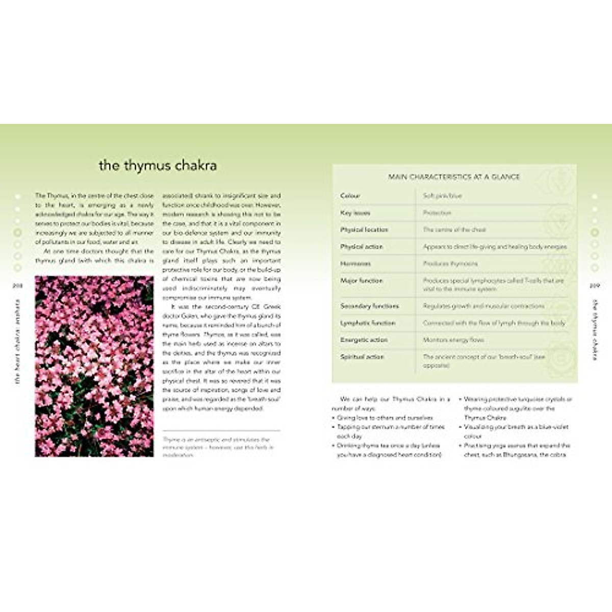 The Chakra Bible: The Definitive Guide to Working with Chakras (Volume 11) (Mind Body Spirit Bibles)