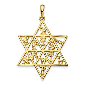 14k Yellow Gold Star Of David 12 Tribes Pendant Fine Jewelry For Women Gifts For Her