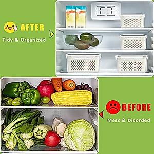 WBKTOOL Fruit Storage Containers for Fridge, 3 Pack Vegetable Container Produce Saver with Drain Colanders + Lids, Berry Containers Salad Lettuce Food Fresh Keeper for Refrigerator Organizer