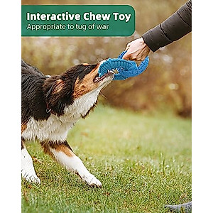 Boutiray Dog Chew Toys for Aggressive Chewers Large Breed, Indestructible Tough Dog Toys for Medium Large Dogs Natural Rubber & Nylon Durable Interactive Toys for Teething Cleaning