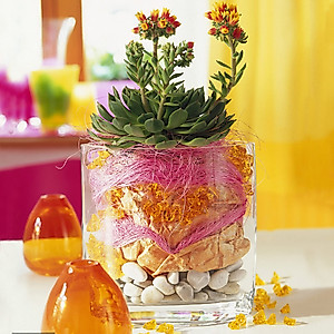 6 Pack Clear Glass Cylinder Vases, Table Flowers Vase Candle Holder for Home,Garden, Wedding Centerpiece Decorations and Formal Dinners (Width 4", Height 4")