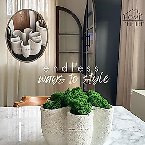 Nico Curvy Decorative Bowl Fluted Vase Scallop Home Decor for Living Room Coffee Table Styling Bookshelf and Console Organic 9 x 5 inches