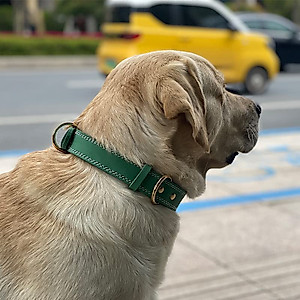 Leather Dog Collar for Medium Dogs with Braided Leather Dog Leash 4 Foot x 5/8"