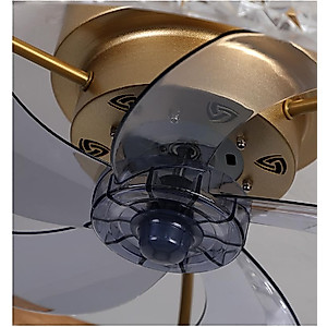 Pang Pang Gold Ceiling Fans with Lights Flush Mount,LED Dimmable Low Profile Ceiling Fan with Remote Control,6 Speeds Reversible Blades and Smart 3 Light Color for Bedroom Living Room Kitchen