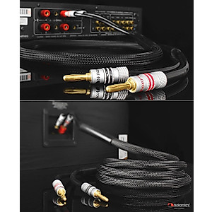 Nakamichi Excel Series 24k Gold Plated Banana Plug with (10 Feet) 12AWG Speaker Cable Wire 99.9% Oxygen-Free Copper (OFC) Heavy Duty Braided for Amplifier Hi-Fi Home Theatre - Black (10ft/3.0m)