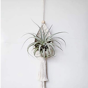 2 Pack Macrame Plant Hangers Air Plants Hanging Basket, Boho Macrame Wall Hanging for Indoor Outdoor Home Decor