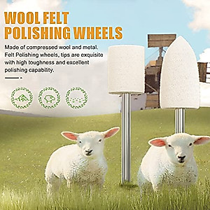 80PCS Polishing Buffing Wheel for Dremel Polishing Kit, Wool Felt Polishing Wheel for Dremel Rotary Tool Accessories, with 1/8" Shank for Jewelry Metal Polishing