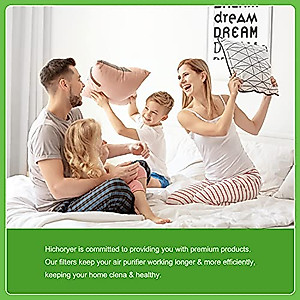 Hichoryer F1 Filter Allergen Reduction+Odor Removal, Replacement Filter Compatible with Filtrete C01 T02 Room Air Purifier FAP-C01-F1 and FAP-T02-F1,2 Pack