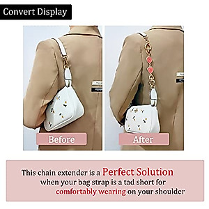 Bag Strap Extender Compatible with Coach Strawberry Collection Bags, Fashion Crossbody Purse Chain Strap Extender Extend Shoulder Strap Length, Stylish Strawberry Bag Charm (2 Red-Pink Strawberry)