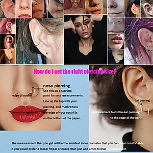 Lantine 5 Pcs Nose Rings Hoops for Women Set 316L Surgical Steel Septum Rings 8mm Rook Daith Tragus Piercing Jewelry Hinged Cartilage Gold Hoop Earrings 18G