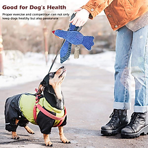 Squeaky Dog Toys Dog Chew Toy for Aggressive Chewers Dog Stuffed Animals Rope Chew Toy Dog Teethbrush Dental Chew Toy for Small Medium Large Doggy or Puppy Red-Billed Bird