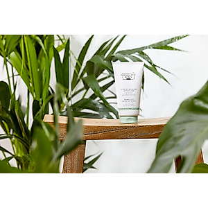 Christophe Robin Hydrating Leave-In Cream With Aloe Vera for Nourishing and Softening Dry Hair - Heat Protecting 5 fl. oz