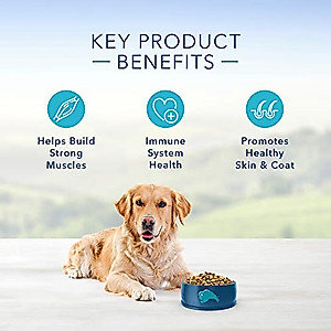 Blue Buffalo Life Protection Formula Natural Adult Dry Dog Food, Chicken and Brown Rice 30-lb