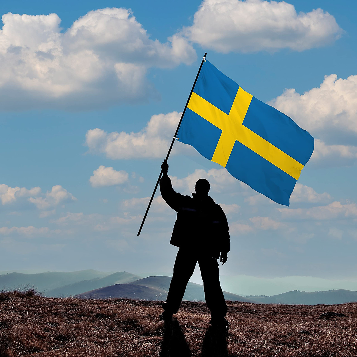 BannerBuzz Sweden Flag Knitted Fabric 90 GSM - Lightweight, Bright & Vivid Colors, Brass Grommets Use for Indoor-Outdoor Purpose (9' W X 6' H)