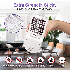 Fly Traps Indoor for Home, Plug-in Bug Fly Catcher Indoor - 2pcs, Bug Light Indoor with Sticky Trap for Capture Flies Fruit Flies Moths Gnats and Other Flying lnsects 400Sg Ft of Protection