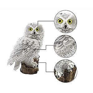 LED Garden Lights - Solar Night Lights Owl Shape Solar-Powered Lawn Lamp - Waterproof, Energy Saving (Warm White)