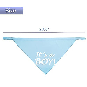 It’s a Boy or It’s a Girl Dog Bandana Pregnancy Announcement Dog Bandana Baby Announcement Triangle Pet Scarf Scarves Gender Reveal Photo Prop Blue