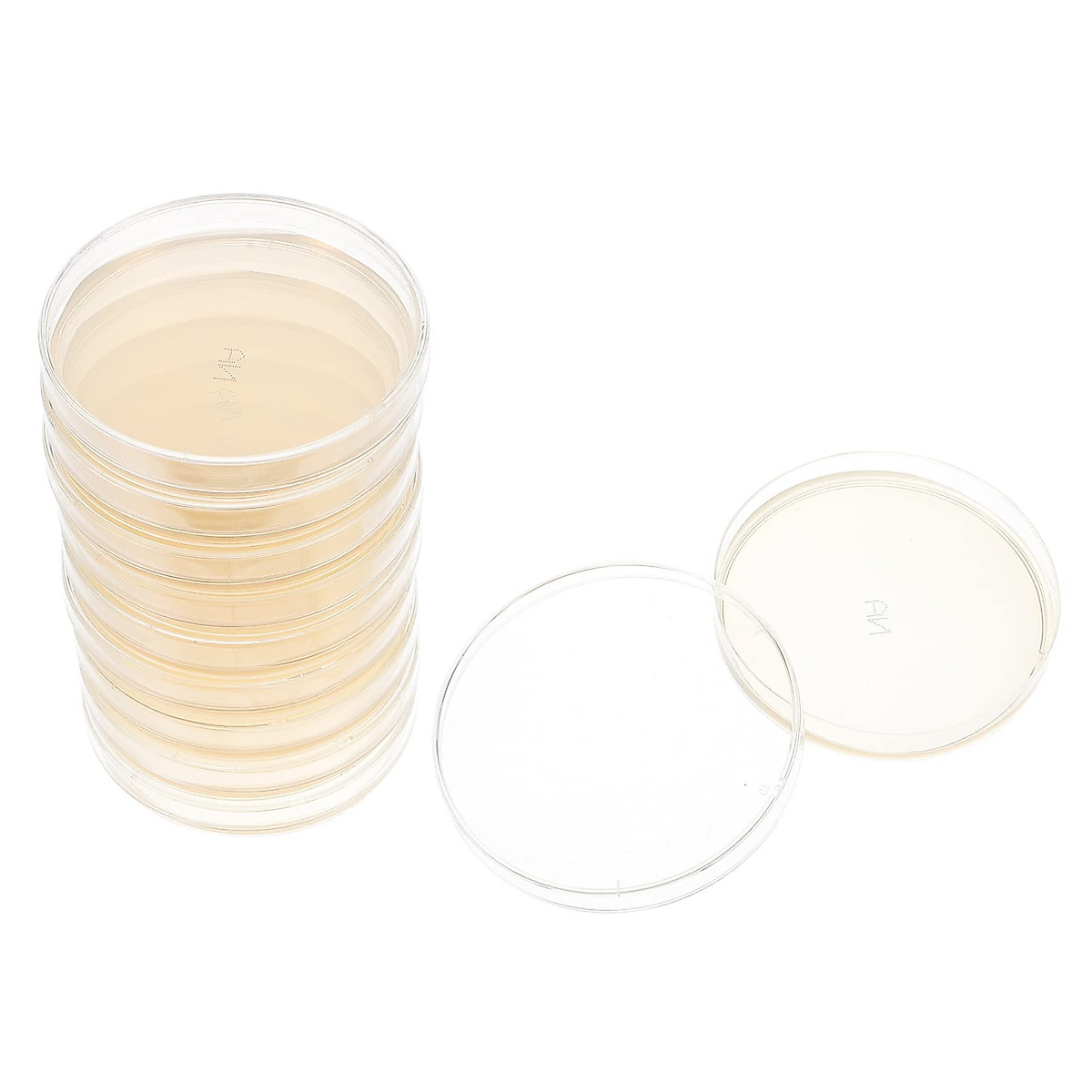 Scicalife 10pcs Plastic Petri Dishes Bioresearch Petri Dish Potato Dextrose Agar Plates Culture Dishes for Mushrooms Science Fair Projects Seeding Biological Themed Party 9cm