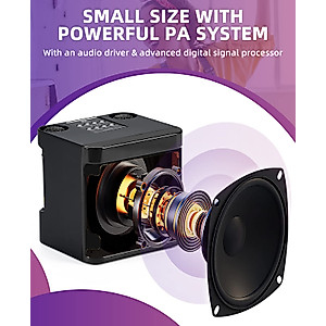 Mini Karaoke Machine for Adults and Kids,Portable Bluetooth Karaoke Speaker for TV, with 2 Wireless Microphones PA Speaker System for Indoor Outdoor Party, Family Party Singing (Elegant Black)