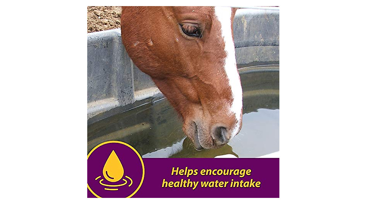 Horse Health Apple-Dex Electrolytes for Horses 5 lb