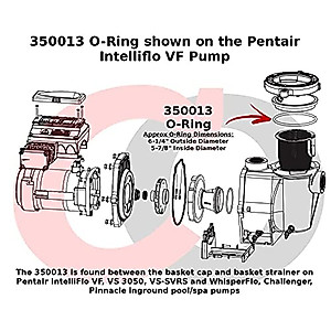 Captain O-Ring - 350013 Lid O-Ring - Compatible with Pentair IntelliFlo, WhisperFlo, Challenger and Pinnacle Pool and Spa Pumps