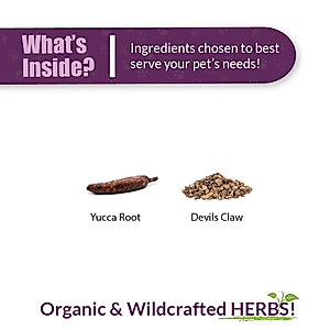 Amber NaturalZ Catizol Simply Comfort Herbal Supplement for Cats | Feline Support for Occasional Discomforts and Normal Body Temperature | 4 Fluid Ounce Glass Bottle | Manufactured in The USA
