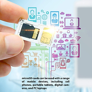 Micro SD Card 1 Tb | USB Adapter | SD Card Adapter | Pack of 3 | 10MB/s Transfer Rate | Plug and Play | All OS Compatible | Reliable and Stable Products | Large Storage Capacity (Blue)