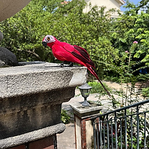 LWINGFLYER Artificial Parrot Life Size Artificial Simulation Foam Feather Parrot Macaw Bird for Costume Shoulder Ornament Modern Home Garden Party Decoration (9.8inch/25cm, Red)
