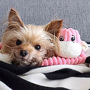 ZippyPaws - Spencer The Crinkle Monkey Dog Toy, Squeaker and Crinkle Plush Toy - Pink, Small