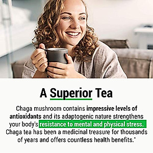 Sayan Siberian Chaga Mushroom Tea Organic Antioxidant Caffeine Free, Raw and Extract Blend, Unbleached 20 Bag, Wild Harvested for Focus Concentration Energy Boost and Immune Support, Detox