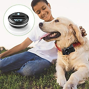 EBL 10 Pack RFA-67 6 Volt Pet Collar Replacement Batteries, Ultra Fit PIF-300 RF300 PIF-275-19 PRF-3004W PUL-250