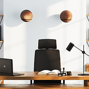 Wallniture Sporta Wall Mount Sports Ball Holder Display Storage Steel Black Set of 2