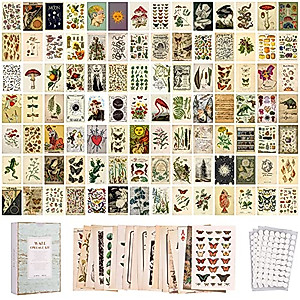 puthiac 100PCS Vintage Photo Wall Collage Kit Aesthetic Posters, Double-Sided Printed Botanical Illustration Tarot Aesthetic Pictures for Cottage Core Vintage Room Decor (Vintage Set of 200Pictures)