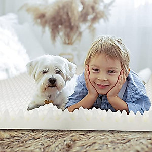 Egg Crate Mattress Topper, Ventilated, Convoluted Foam for Pressure Sores and Pain Relief, Medical Grade Urethane for Therapeutic Support and Recovery, Hospital Bed Twin (74" x 38")