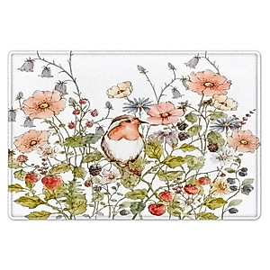 LB Pink Floral Bathroom Rug Green Leaf Red Strawberry Cute Bird Bath Mat White Aesthetic Wildflower Doormat Non Slip Memory Foam Super Absorbent Floor Mats,24x16 Inch