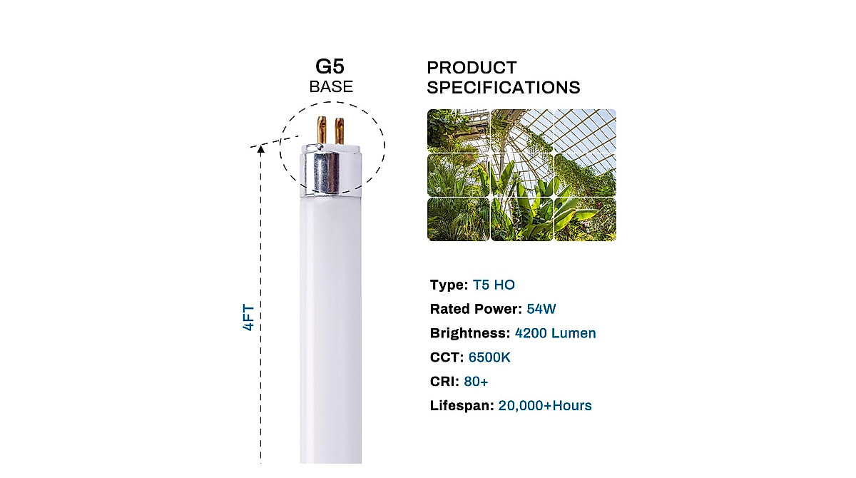 F54T5 Fluorescent Tube Light Bulb - 54W, 6500K, 5 Pack