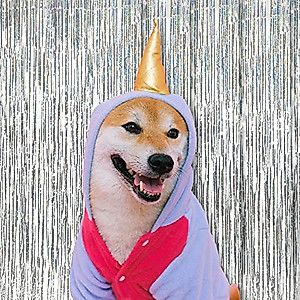 5 Pack Silver Fringe Curtain Backdrop 3.2ft x 8.2ft Metallic Tinsel Foil Fringe Streamers for Photo Booth Props Background Birthday Party Decorations Wedding Christmas Halloween Decorations (Silver)