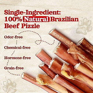 Natural Farm Odor-Free Thin Bully Sticks (6”, 10-Pack) All-Natural Long-Lasting Dog Chews, 100% Beef Pizzle, Grass-Fed, Grain-Free, Protein for Muscle Development & Energy, Perfect for Medium Chewers