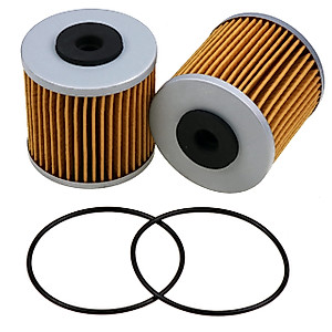 JEENDA X2 Transmission Filters Includes o-ring Compatible with Hydro Gear 71943 Ferris 5101987X2 5101987X2YP Scag HG71943 Bad Boy 063-1070-00 Gravely 21548300 ZT-5400 (2)