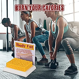 SimCoach Human Body Fat Replica 1 Lb, Keep Fit & Weight Loss Motivation & Reminder, Silicone Human Fatty Tissue Demonstration Model for Nutritionist, Athlete