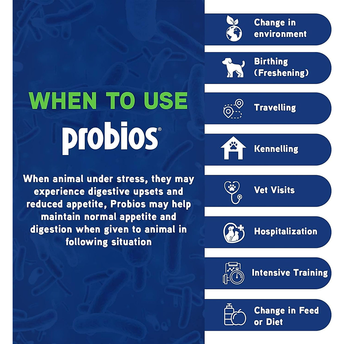 Probios Vet Plus Dispersible Digestive Powder, 240gm