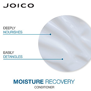 Joico Moisture Recovery Moisturizing Conditioner | For Thick, Coarse, Dry Hair | Restore Moisture, Smoothness, Strength, & Elasticity | Reduce Breakage | With Jojoba Oil & Shea Butter | 8.5 Fl Oz