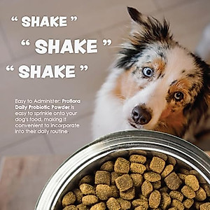 Proflora Probiotics for Dogs-Complete Gut Health & Immune Support. Easy to Use Digestive Multi-Strain Probiotics. Easier Diet Transitions, Healthier Skin & Coat & Helps Treat Diarrhea. 30 Packets.