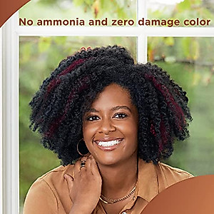 Clairol Professional Beautiful Collection Hair Color, 22d Jet Black, 3 oz