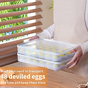 77L Deviled Egg Containers with Lid, (Set of 2), Plastic Egg Holder for Refrigerator for 48 Eggs, Clear Storage Deviled Egg Carrier Tray, Fridge Stackable Countertop Portable Egg Dispenser