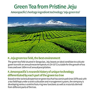 AMOS PROFESSIONAL The Green Tea Shampoo [Moist - For Normal/Dry Scalp] 17.6oz (500g) | Anti-Thinning & Anti- Hair Loss Shampoo for Hair Growth and Moisture | Korean Hair Salon Brand