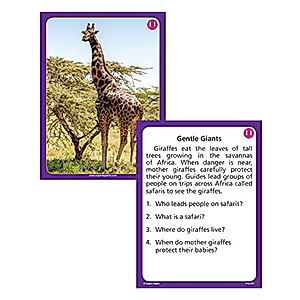 Super Duper Publications | Photo Auditory Memory for Short Stories Fun Deck Flash Cards | Educational Learning Resource for Children